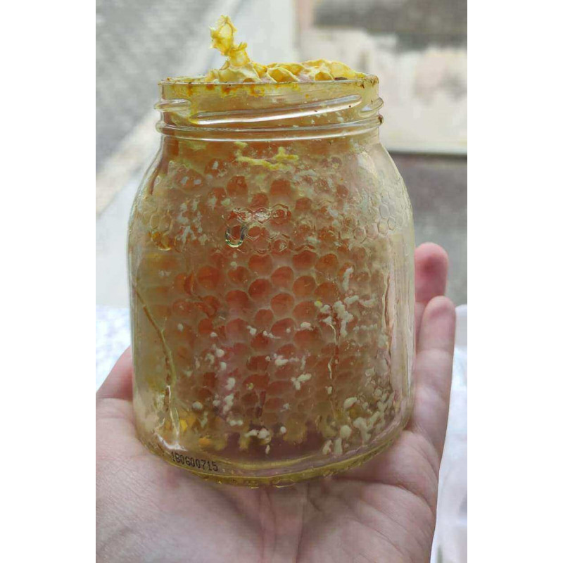 Prancheta agasalho langstroth 20 furos | MacMel